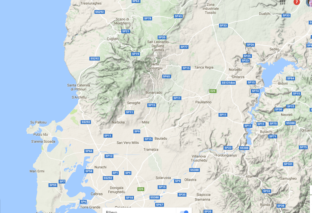 10-montiferru-mappa - Daniela Santerini